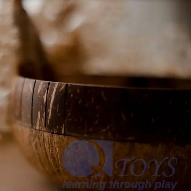 Natural Coconut Basket | Sustainable Eco-Friendly Toys – Tree Hollow Toys